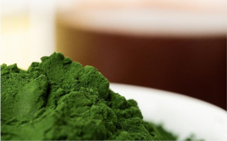 Promoting the use of microalgae in aquafeeds | SPAROS I&D | NUTRITION ...